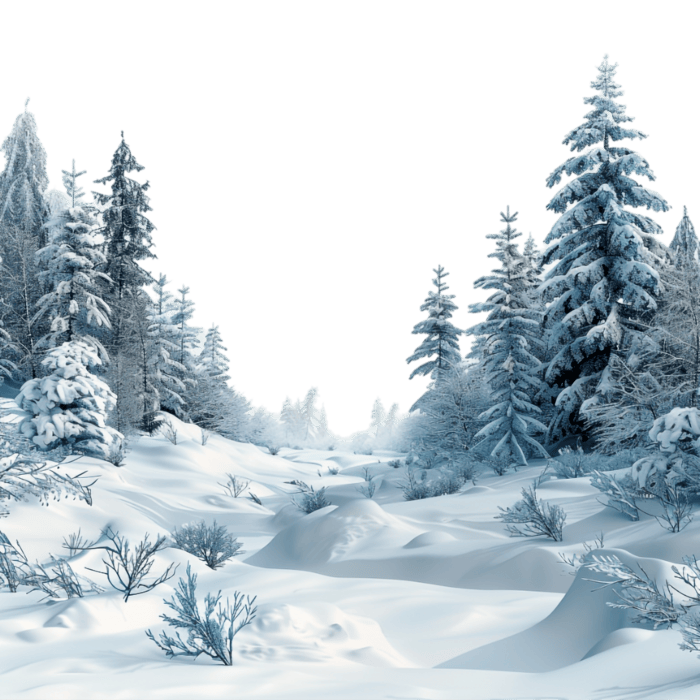 Snow Ground PNGs for Free Download