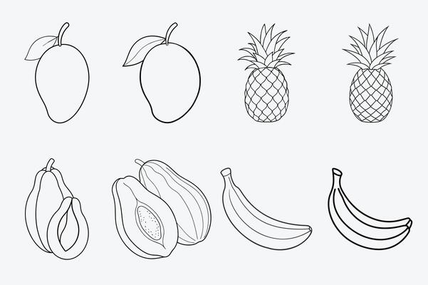 Fruit Outline Drawing Vector Art, Icons, and Graphics for Free Download Fruit Outline Drawing Vector Art, Icons, and Graphics for Free Download