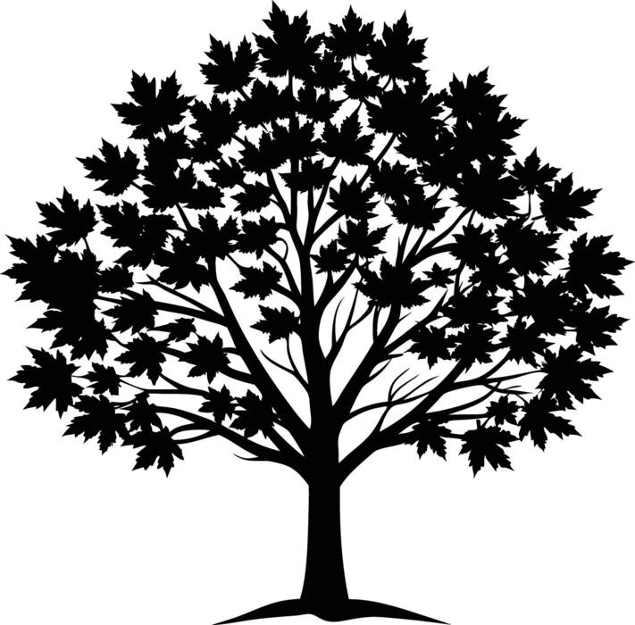 Sugar Maple Tree Vector Art, Icons, and Graphics for Free Download