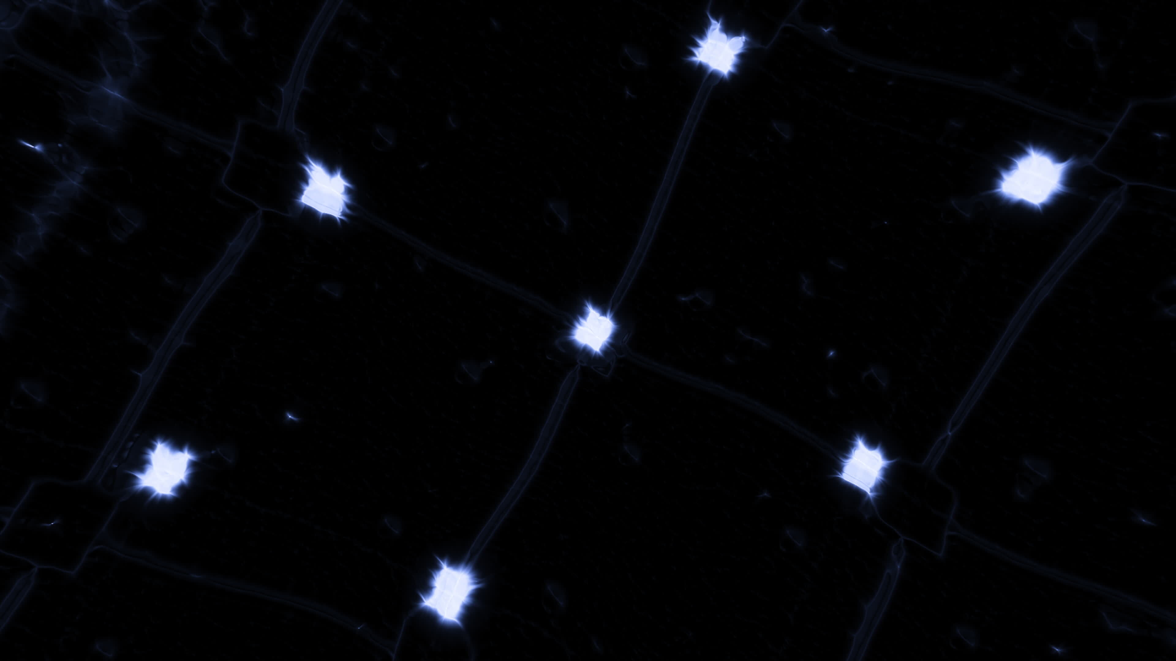 Luminous grid with dots and lines of energy. Motion. Abstract radiation ...