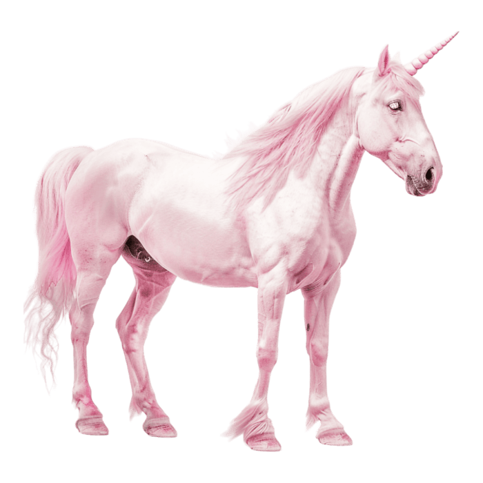 Unicorn Horse PNGs for Free Download
