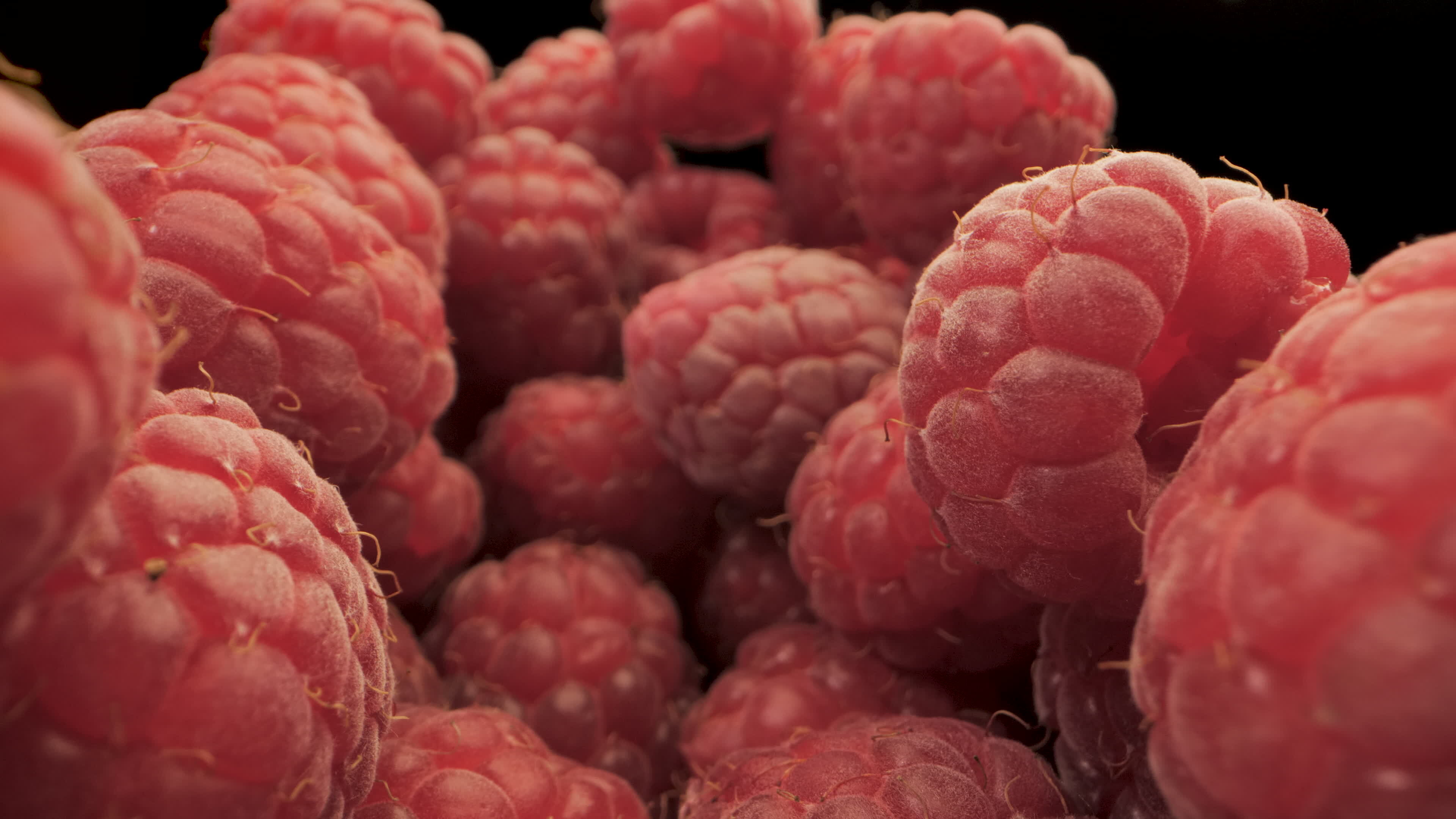 This image shows a close-up of ripe raspberries in a bowl. The ...
