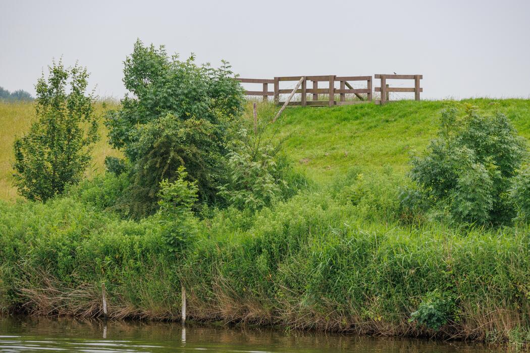 Environment Border Stock Photos, Images and Backgrounds for Free Download