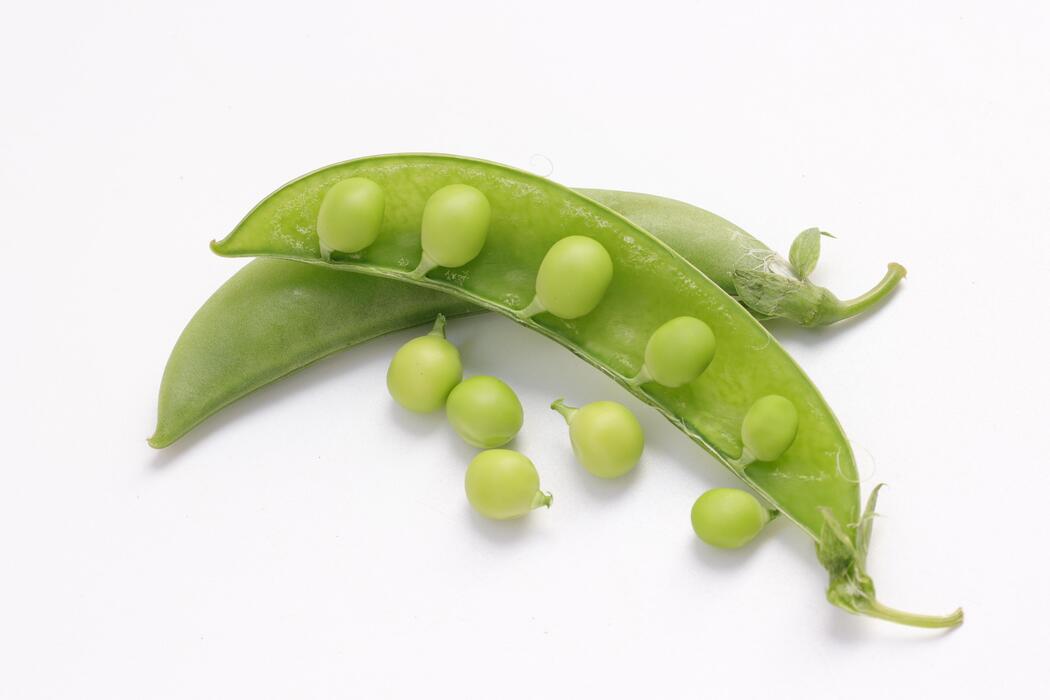 Pea Pod Stock Photos, Images and Backgrounds for Free Download