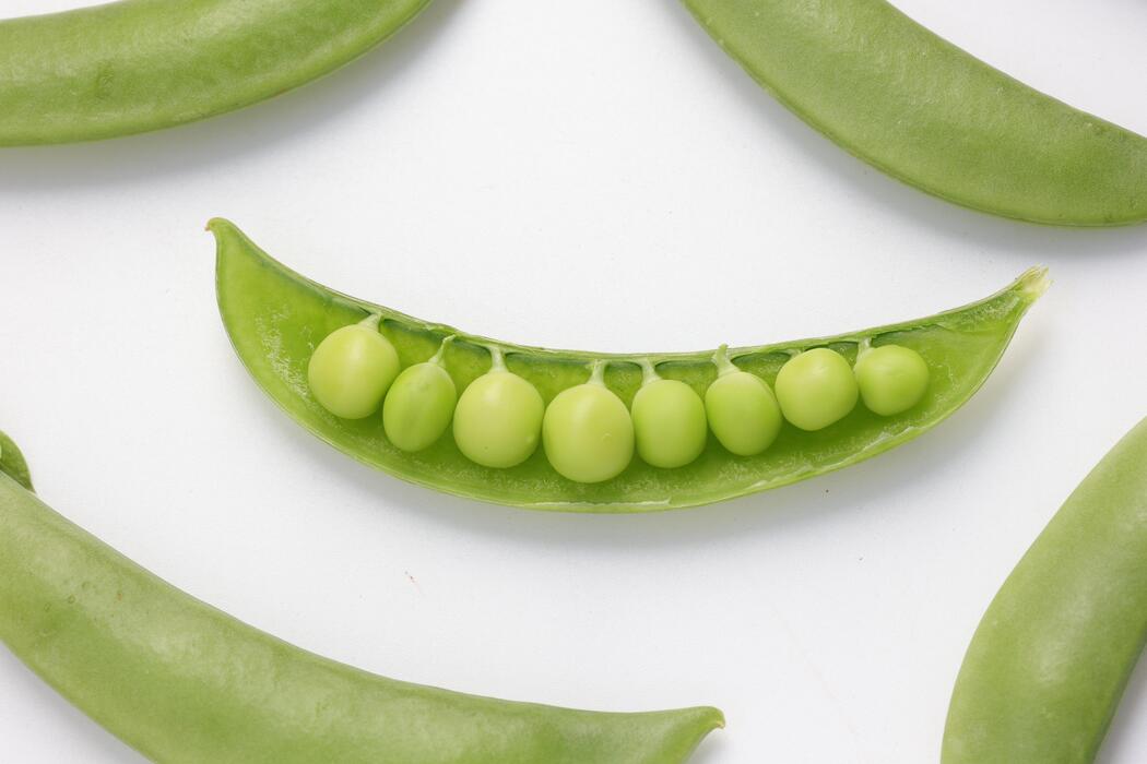 Pea Pod Stock Photos, Images and Backgrounds for Free Download