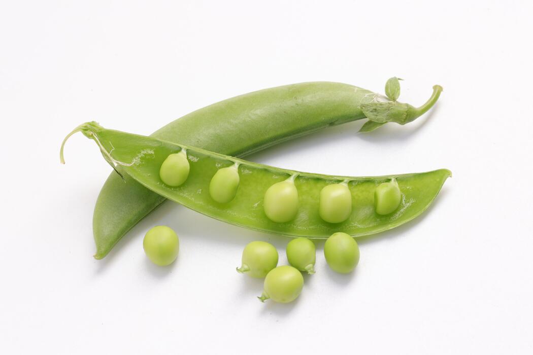 Peas Isolated Stock Photos, Images and Backgrounds for Free Download