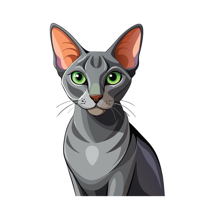 Gray Cat Vector Art, Icons, and Graphics for Free Download