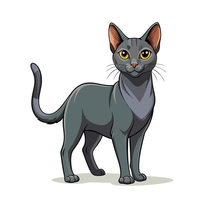 Gray Cat Vector Art, Icons, and Graphics for Free Download