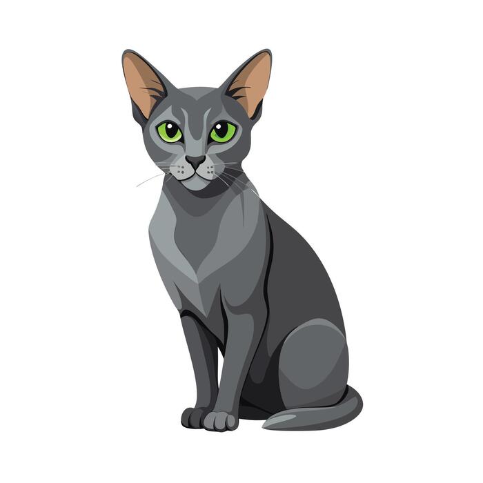 Gray Cat Vector Art, Icons, and Graphics for Free Download