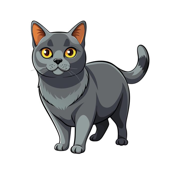 Gray Cat Vector Art, Icons, and Graphics for Free Download