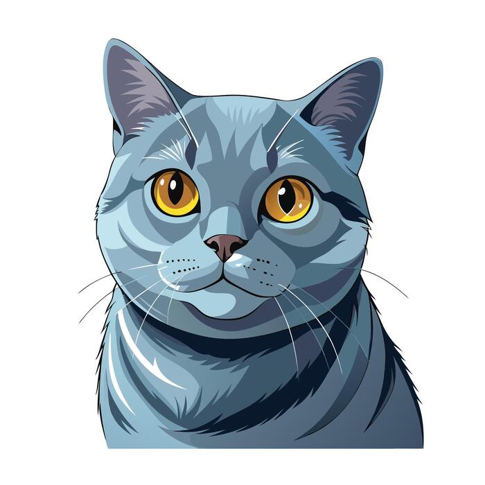 Gray Cat Vector Art, Icons, and Graphics for Free Download