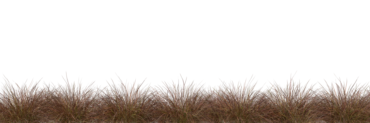 Grass Texture Pngs For Free Download