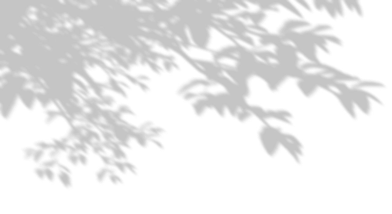 Leaves Shadow PNGs for Free Download