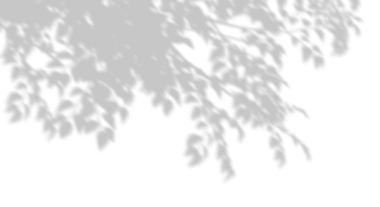 Tree Shadow PNGs for Free Download