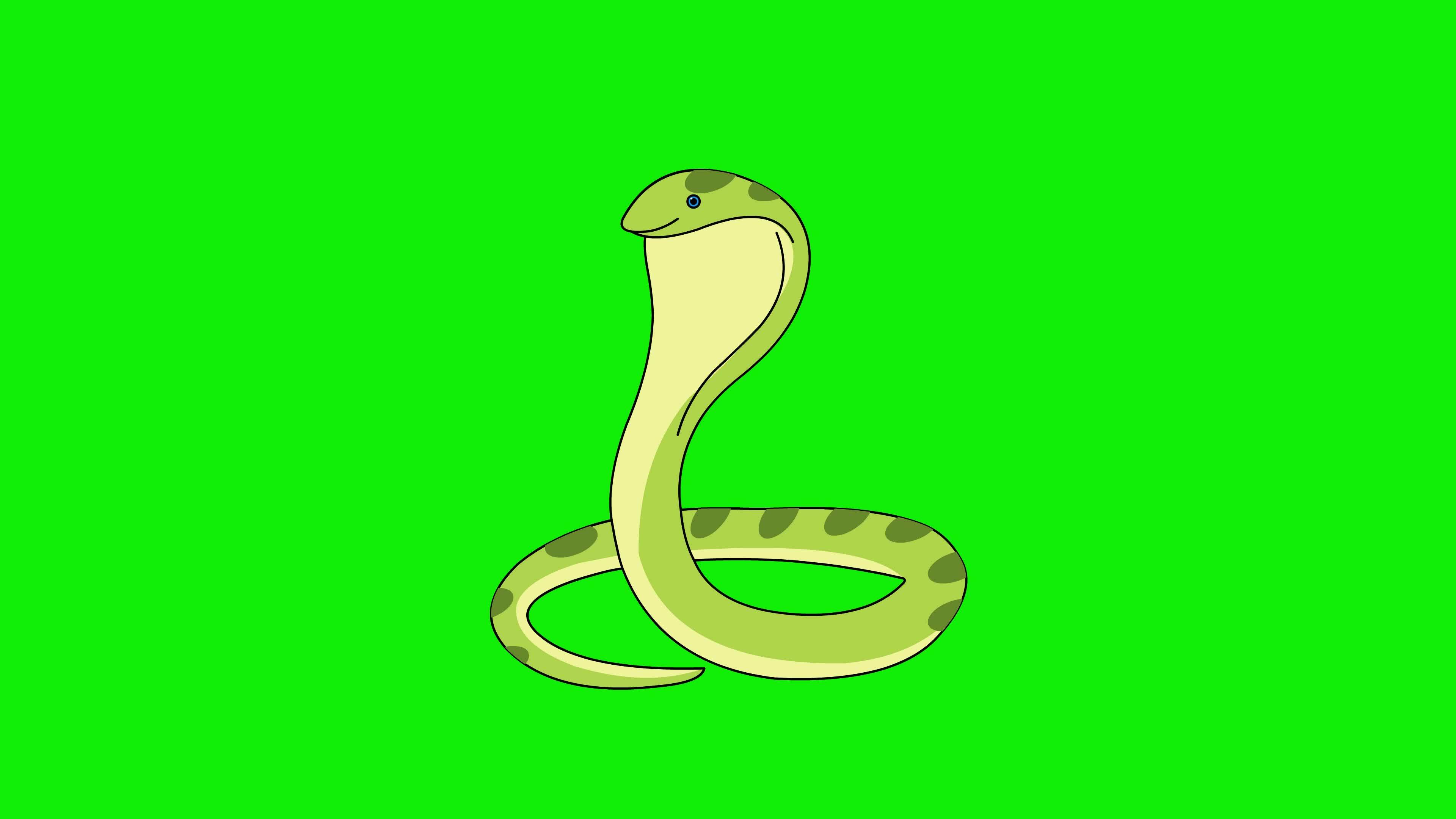 2d cartoon snake animation 4k green screen 47387036 Stock Video at Vecteezy
