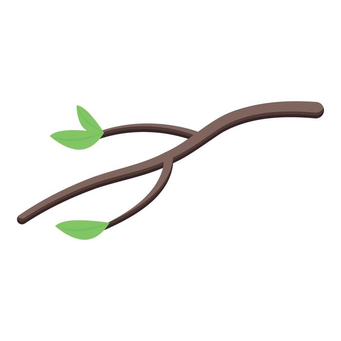 Cartoon Tree Branch Vector Art, Icons, and Graphics for Free Download