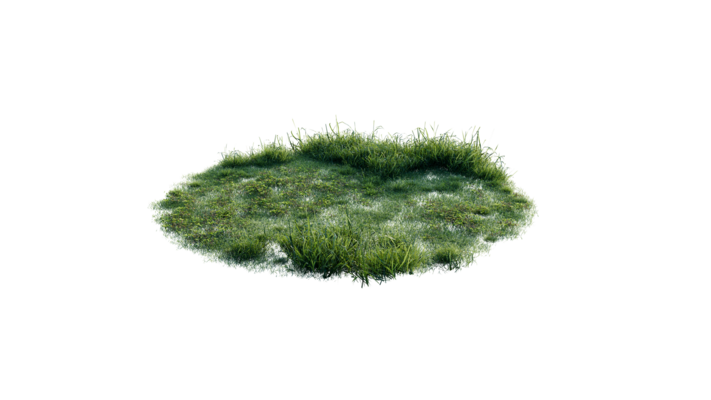 Grass Top View Pngs For Free Download