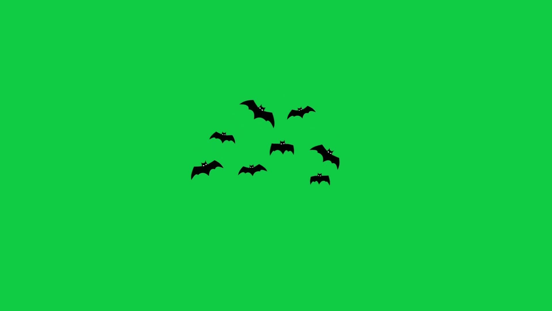 Halloween spooky bats flying looping animation isolated on green screen ... Halloween spooky bats flying looping animation isolated on green screen ...