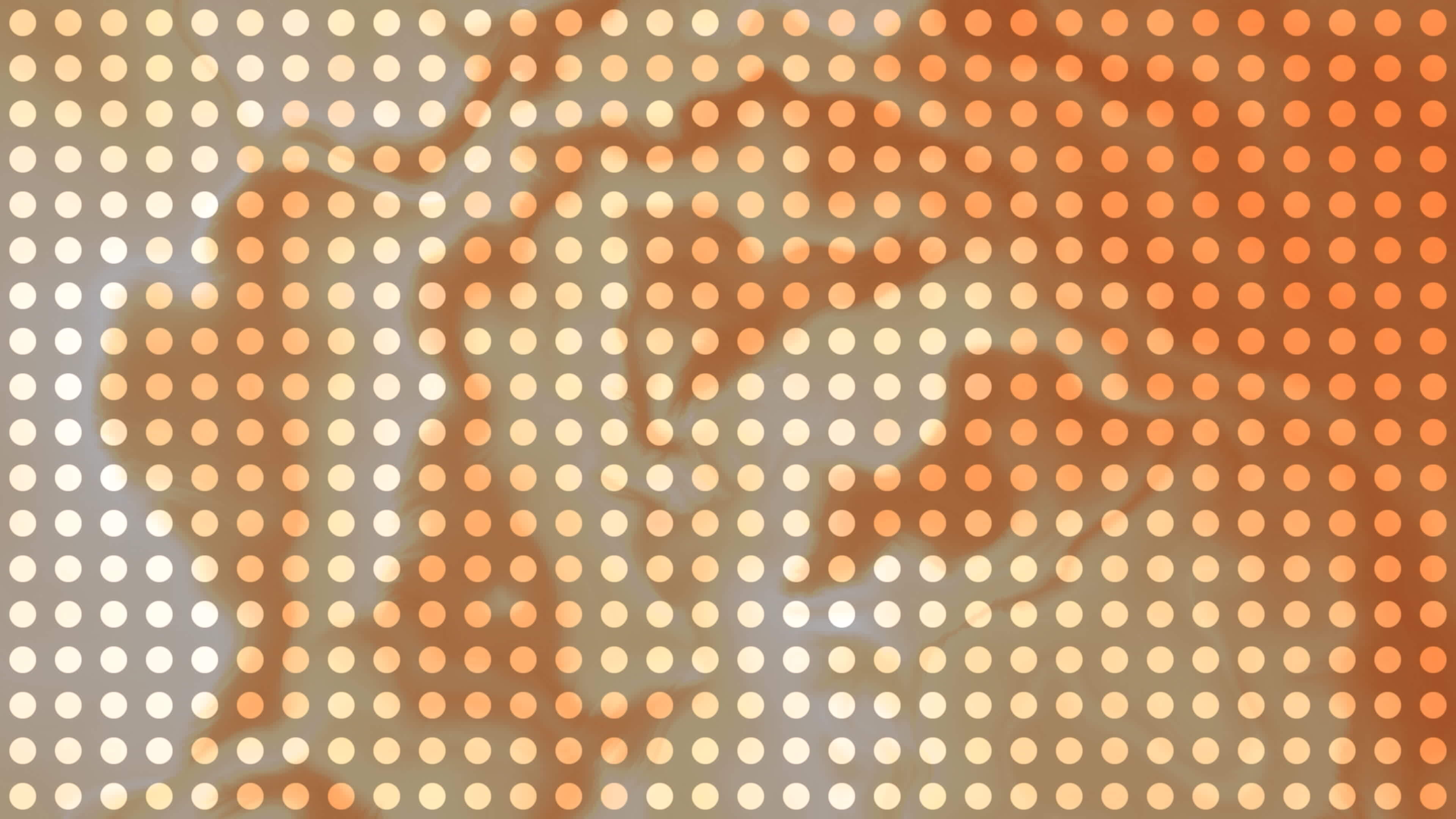 Background with bright blurred spots and dots. Motion. Background animation with dots and retro ...