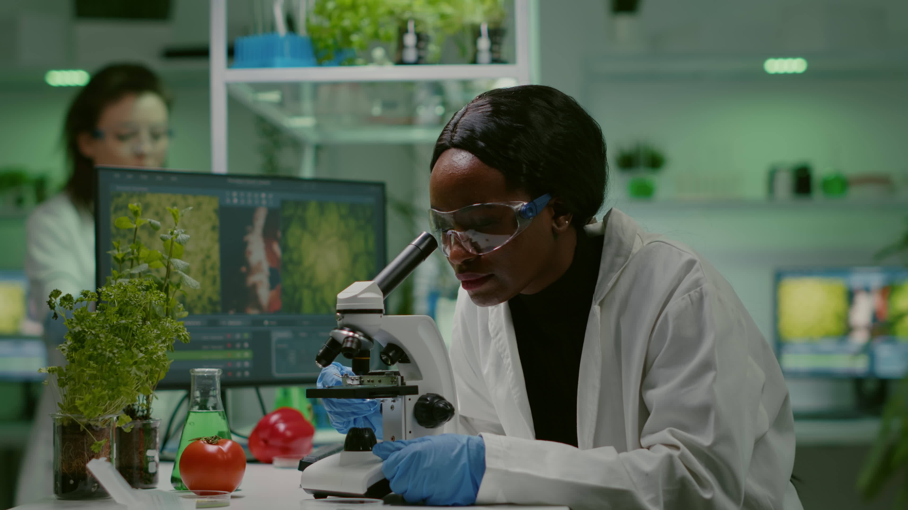 diapositiva ver de biólogo investigador analizando gmo verde hoja utilizando médico microscopio ...