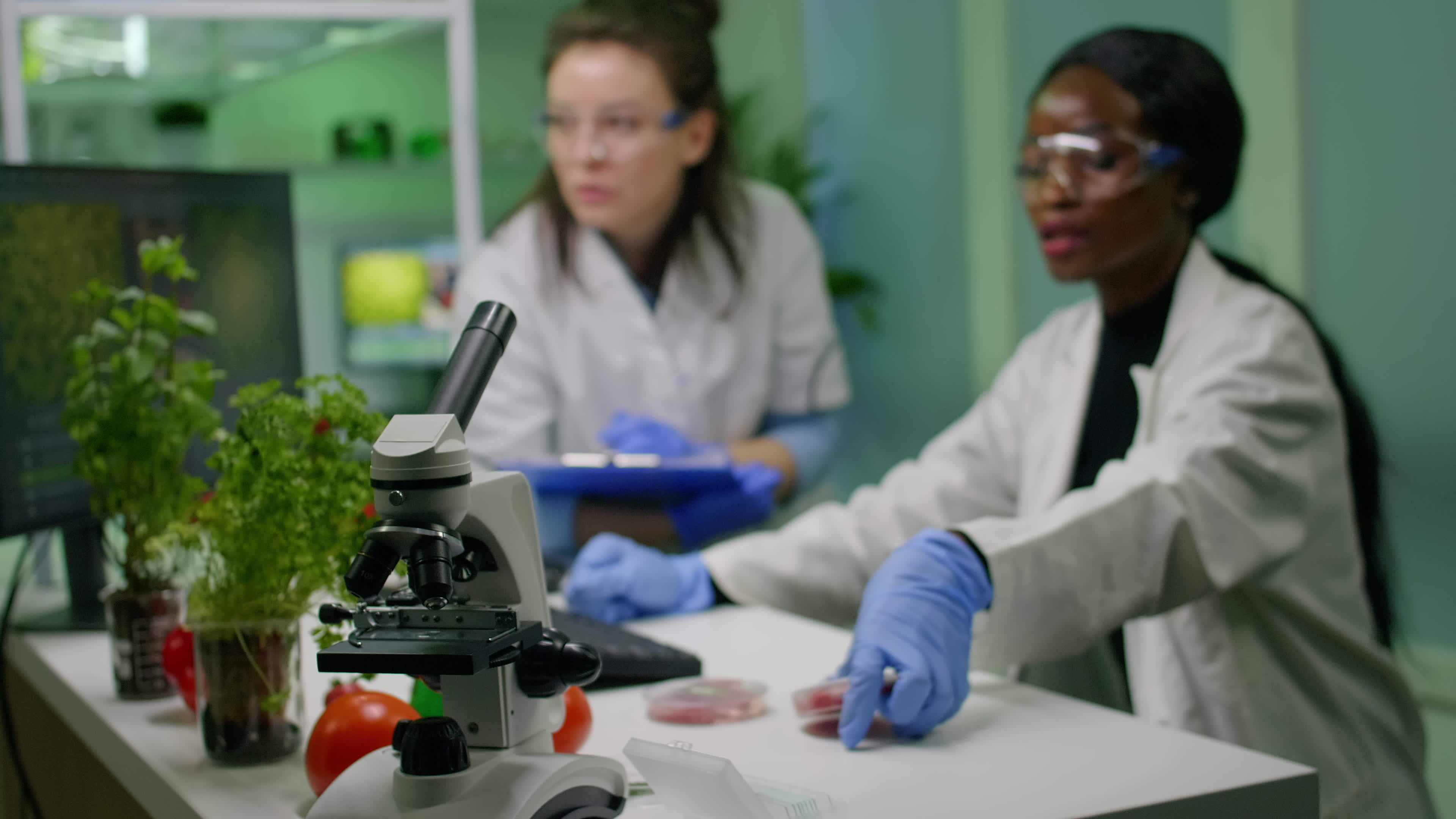 Medical team researchers talking about vegetarian meat working on plant ... Medical team researchers talking about vegetarian meat working on plant ...
