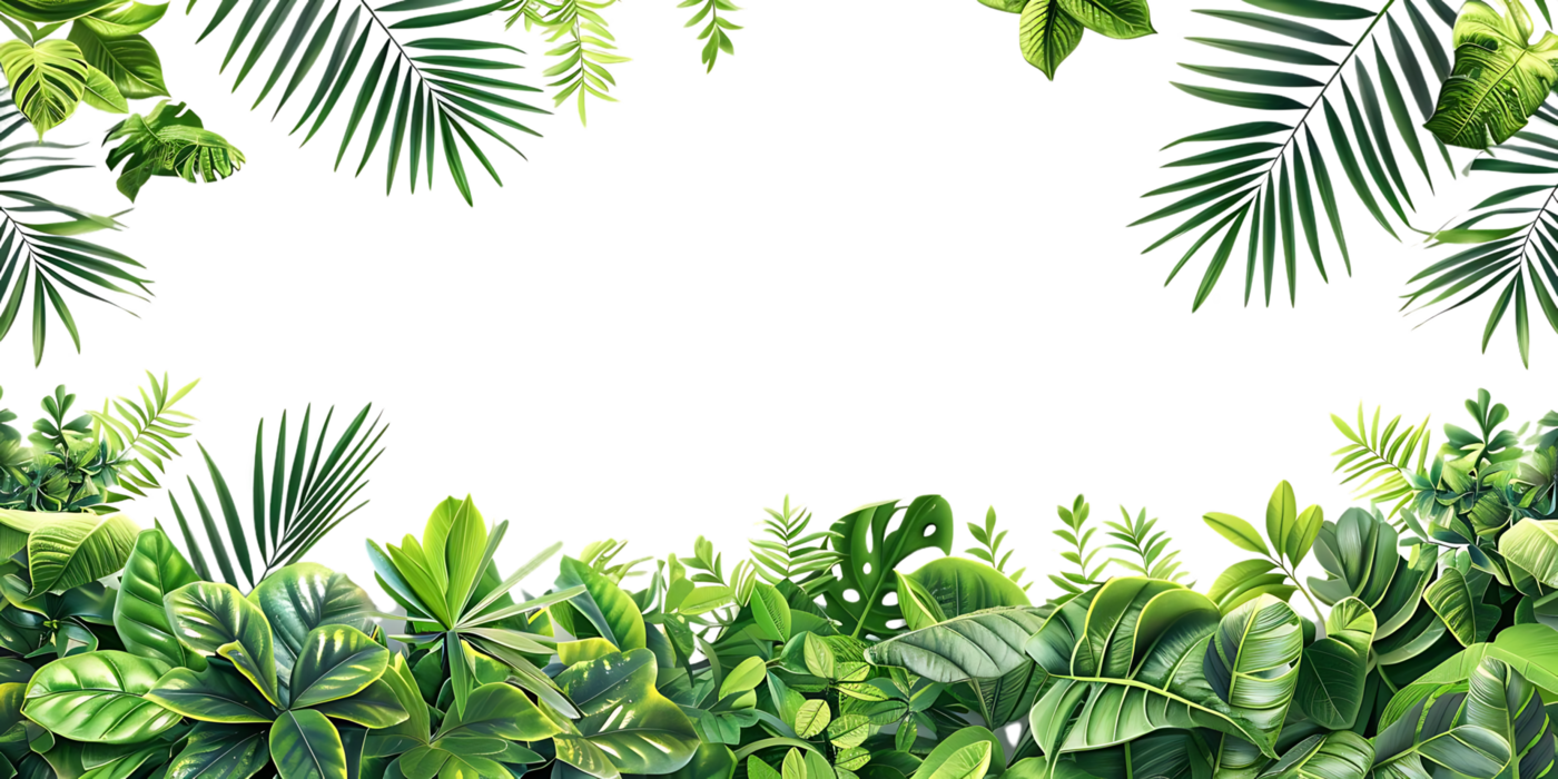 Jungle Background PNGs for Free Download