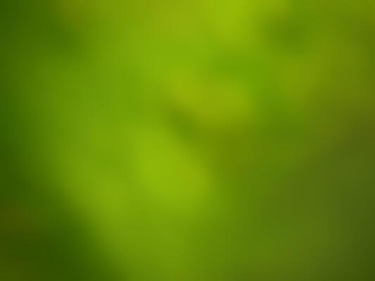 Green Template Stock Photos, Images and Backgrounds for Free Download