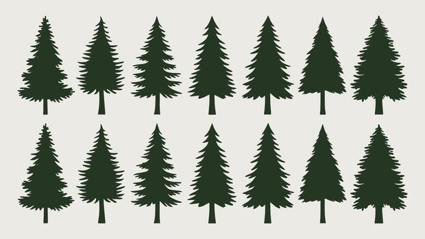Pine Tree Texture Vector