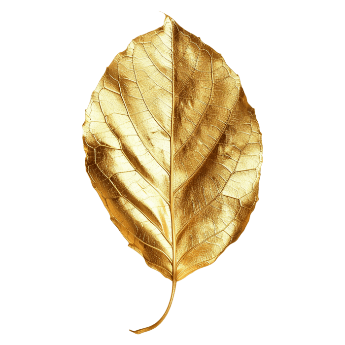 Gold Leaf Png PNGs for Free Download