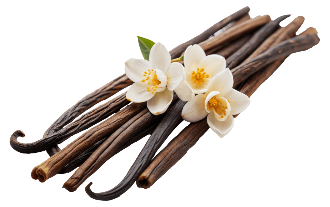 Vanilla Bean Png Madagascan Vanilla Bean — Appleby Farms Ice Cream