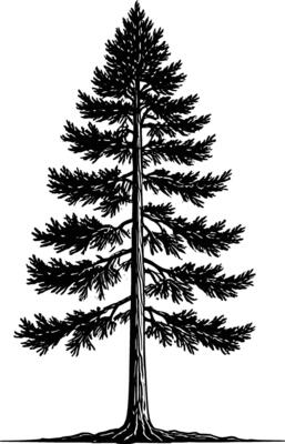 Pine Tree Clipart Vector Art, Icons, and Graphics for Free Download