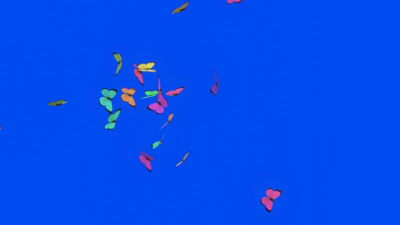 3d animation of a collection of colorful butterflies on a blue background. Illustration of wild ...