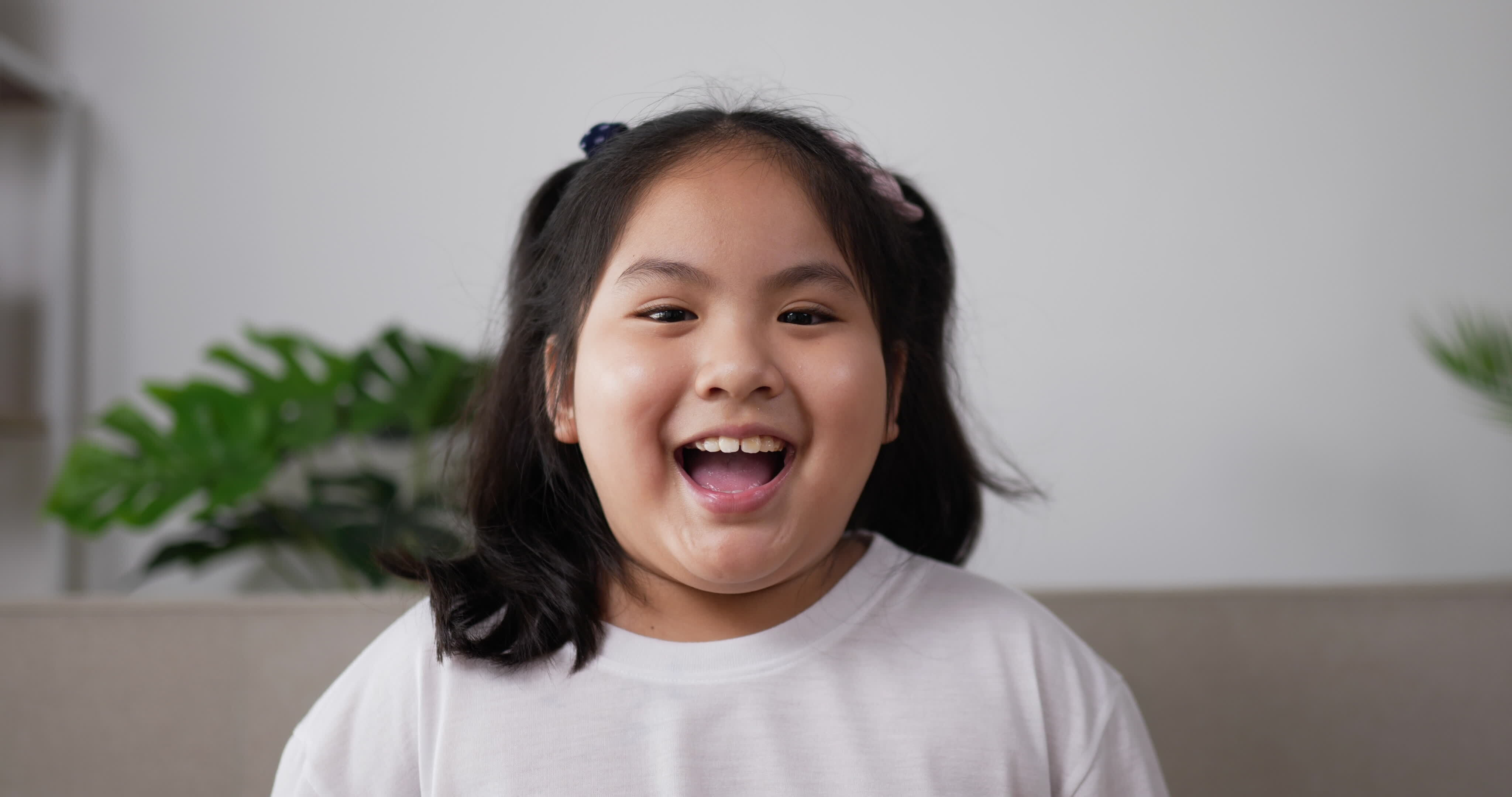 Little Girl Looking at Camera and Laughing with Happy 47733134 Stock Video at Vecteezy