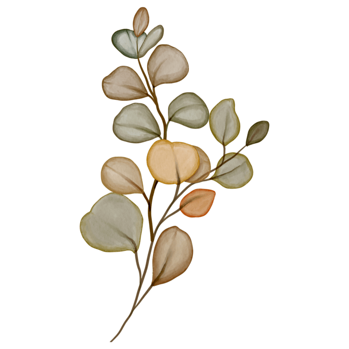 Eucalyptus Leaves Gold PNGs for Free Download