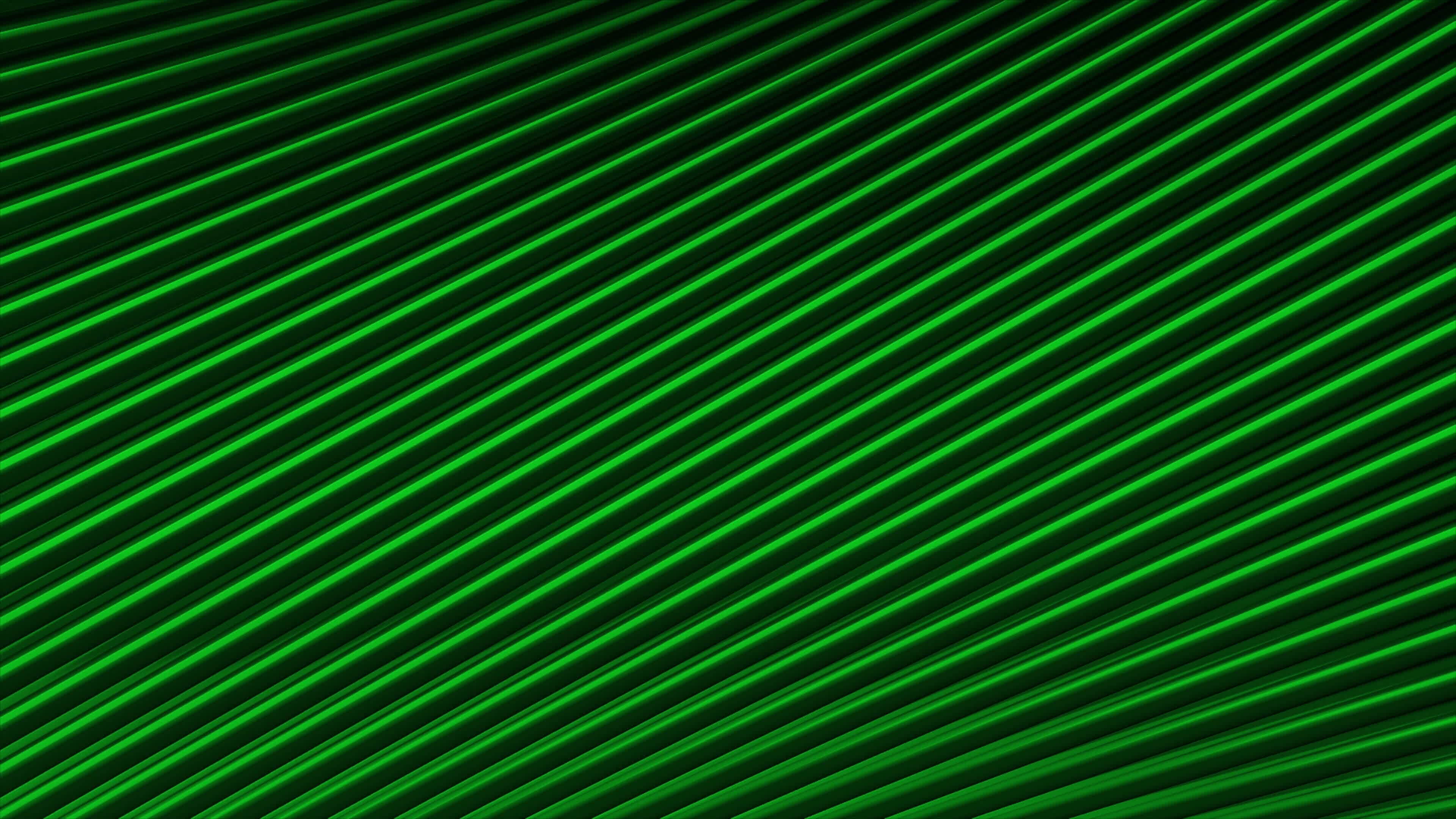 Green lines in abstraction.Motion.Bright lines of green color merge in ...