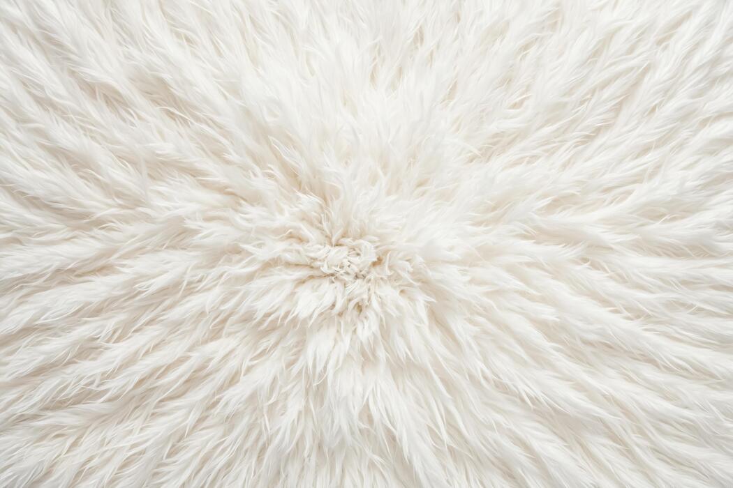 White Rug Stock Photos, Images and Backgrounds for Free Download