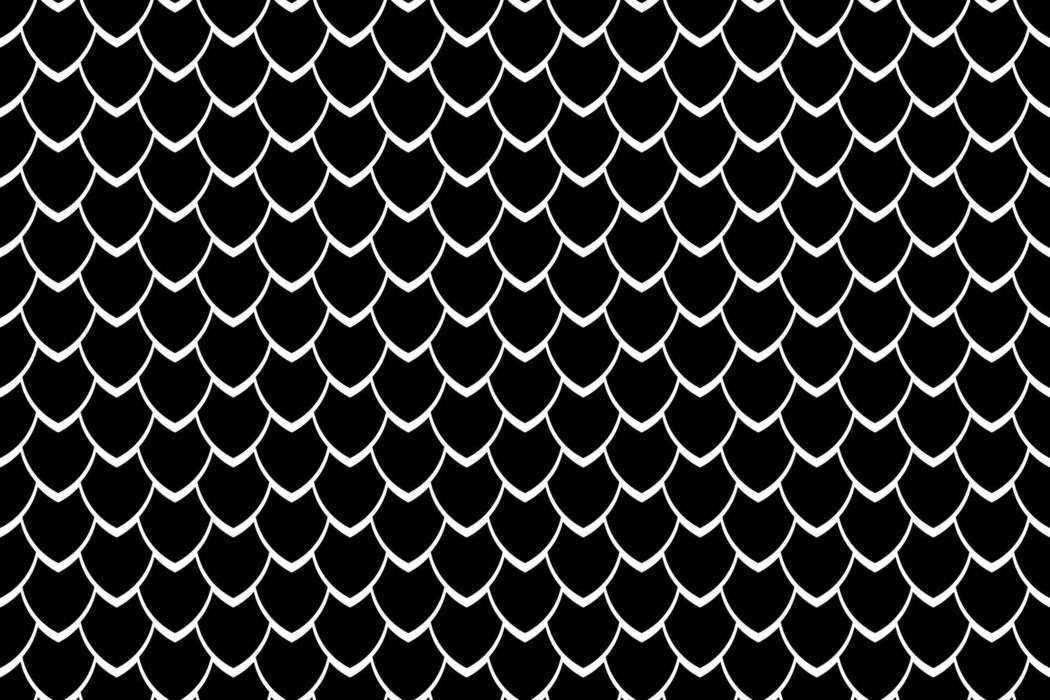 Snake Scale Vector Art, Icons, and Graphics for Free Download