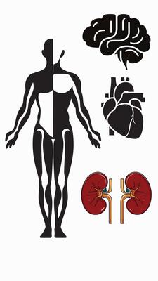 Human Body Outline Clipart Black And White