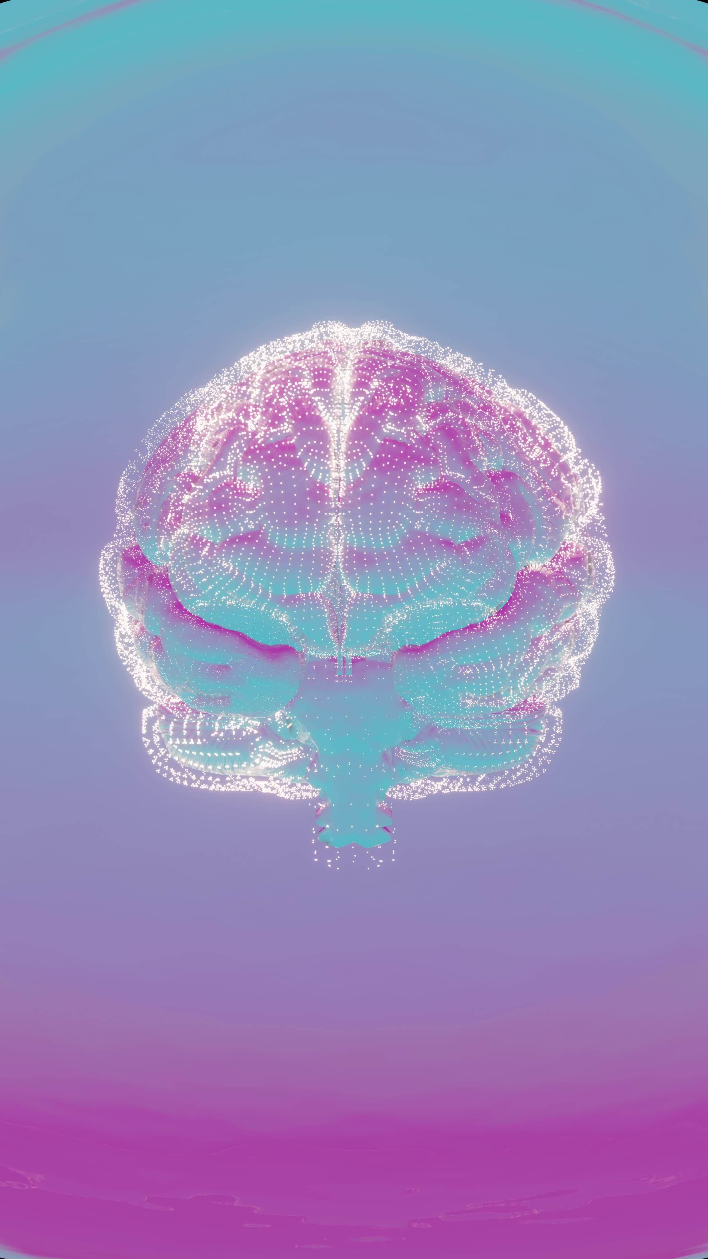 3D abstract representation of a brain in a holographic form. The ... 3D abstract representation of a brain in a holographic form. The ...