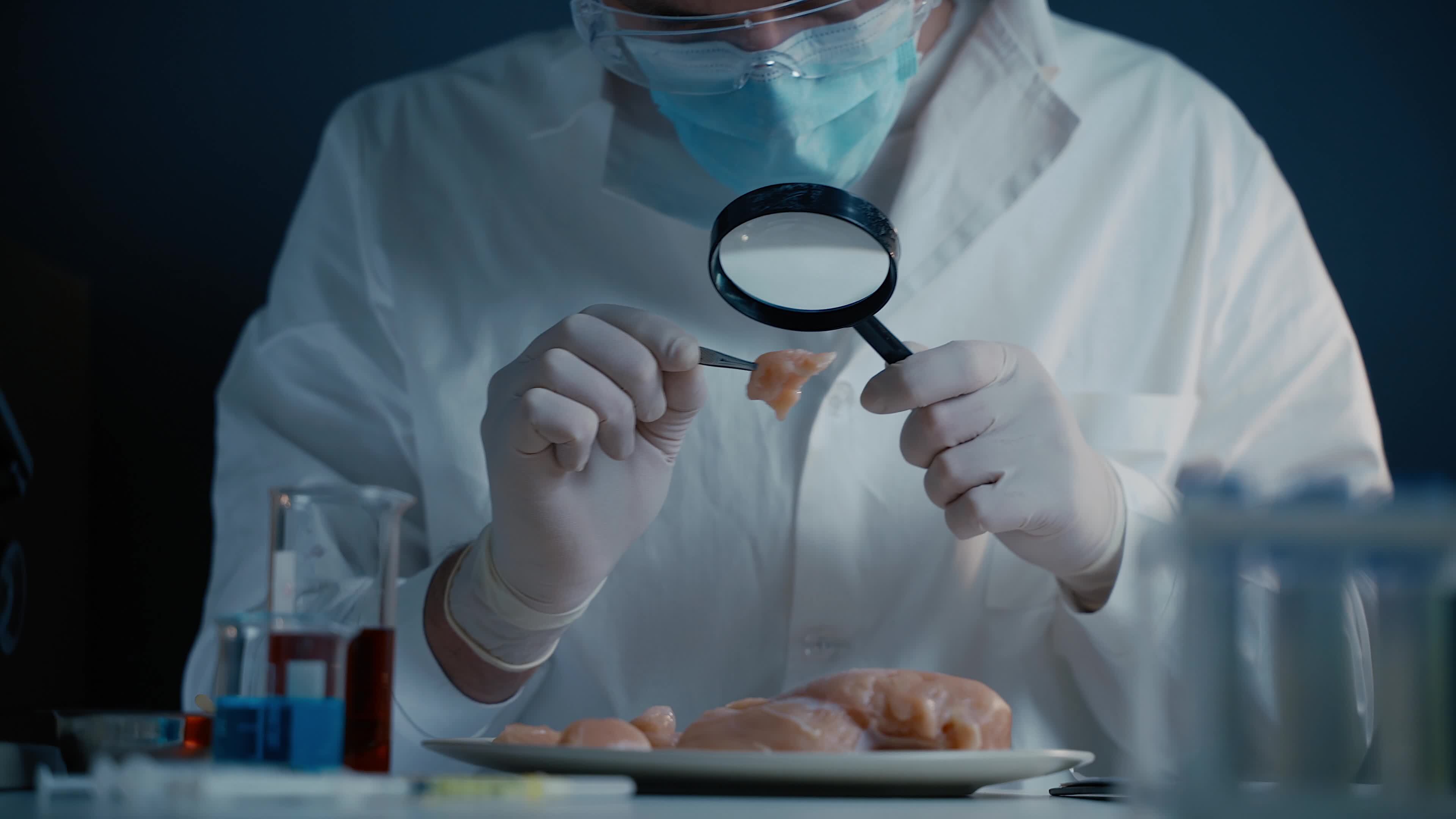 Professional lab worker looking at meat sample through magnifier ... Professional lab worker looking at meat sample through magnifier ...