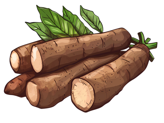 Cassava Pngs For Free Download