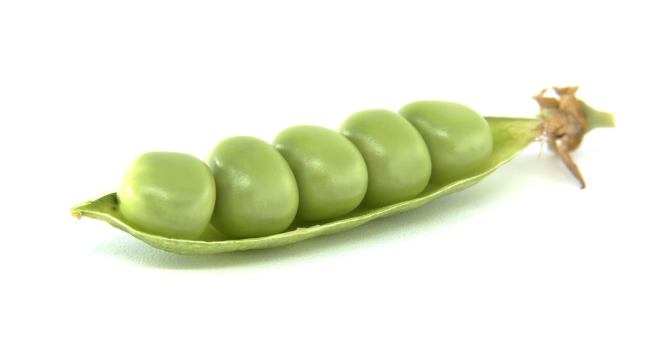 Pea Pod Stock Photos, Images and Backgrounds for Free Download