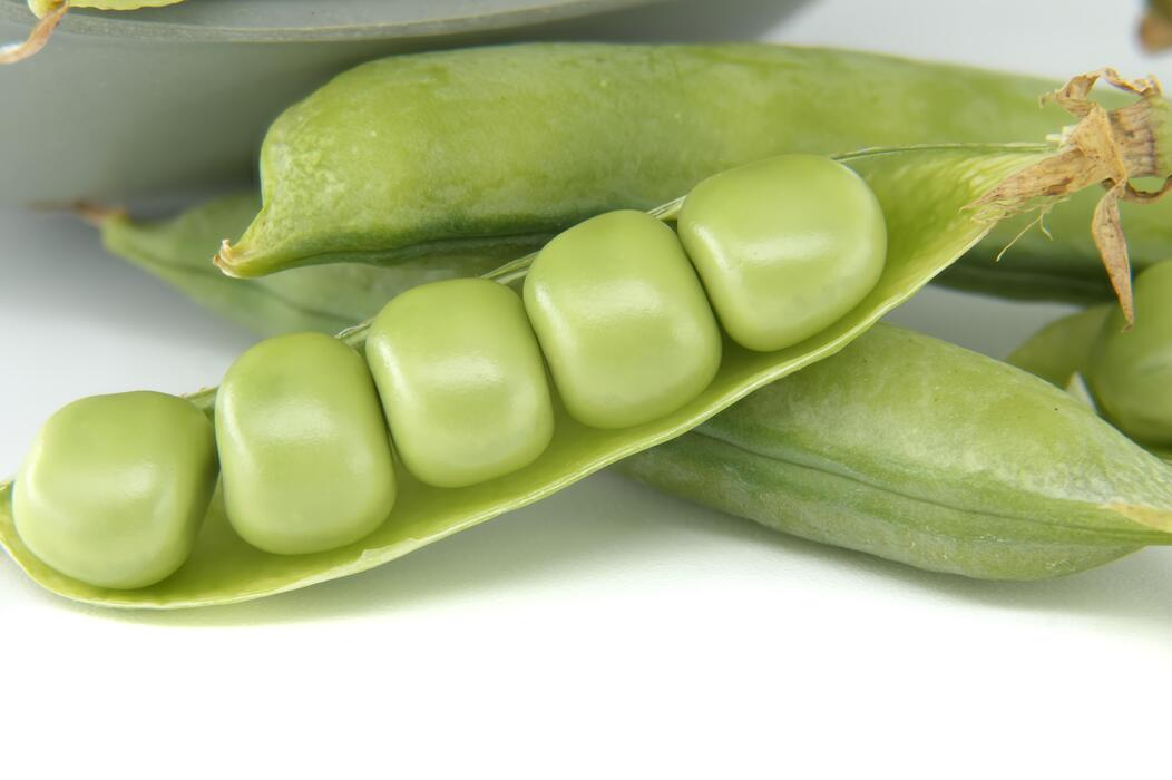 Pea Pod Stock Photos, Images and Backgrounds for Free Download