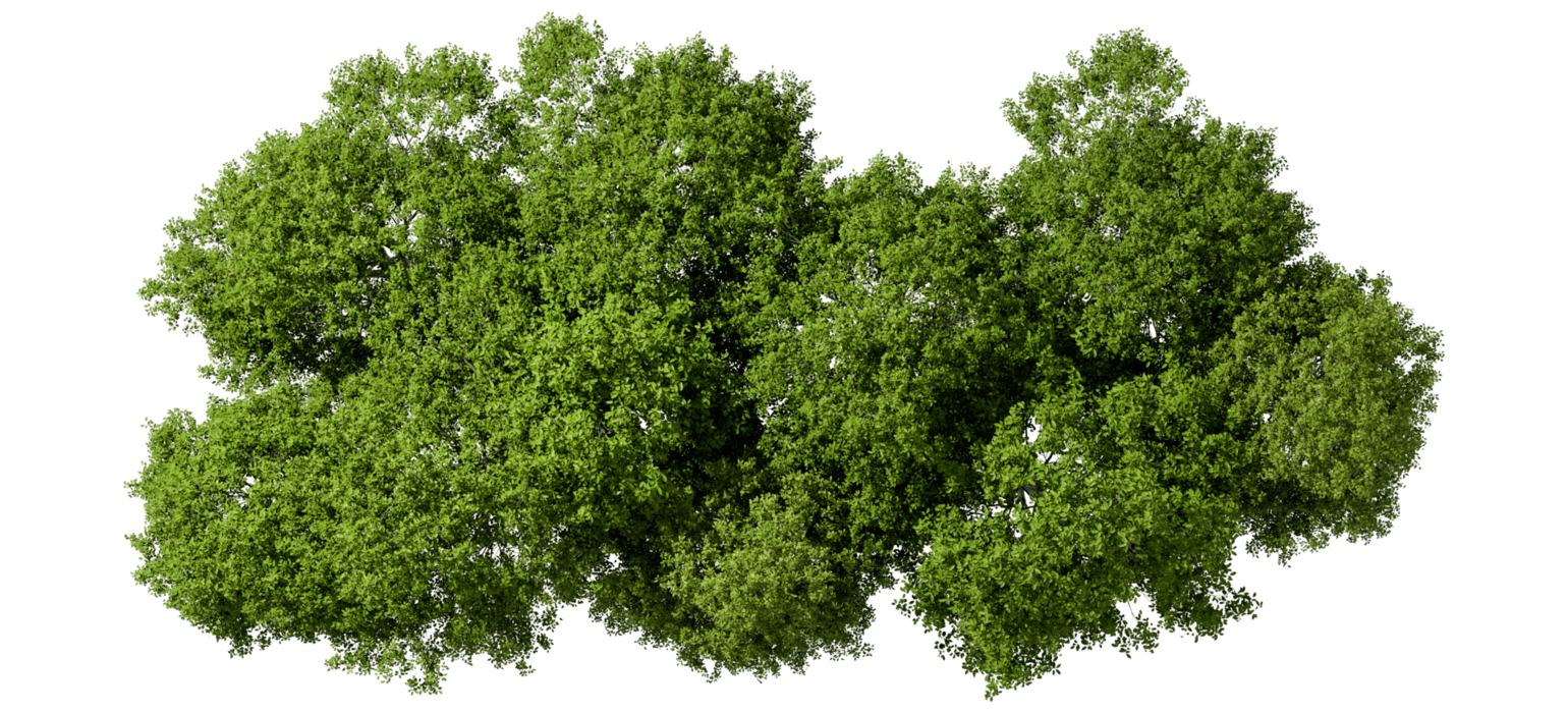 Birds Eye View Pngs For Free Download