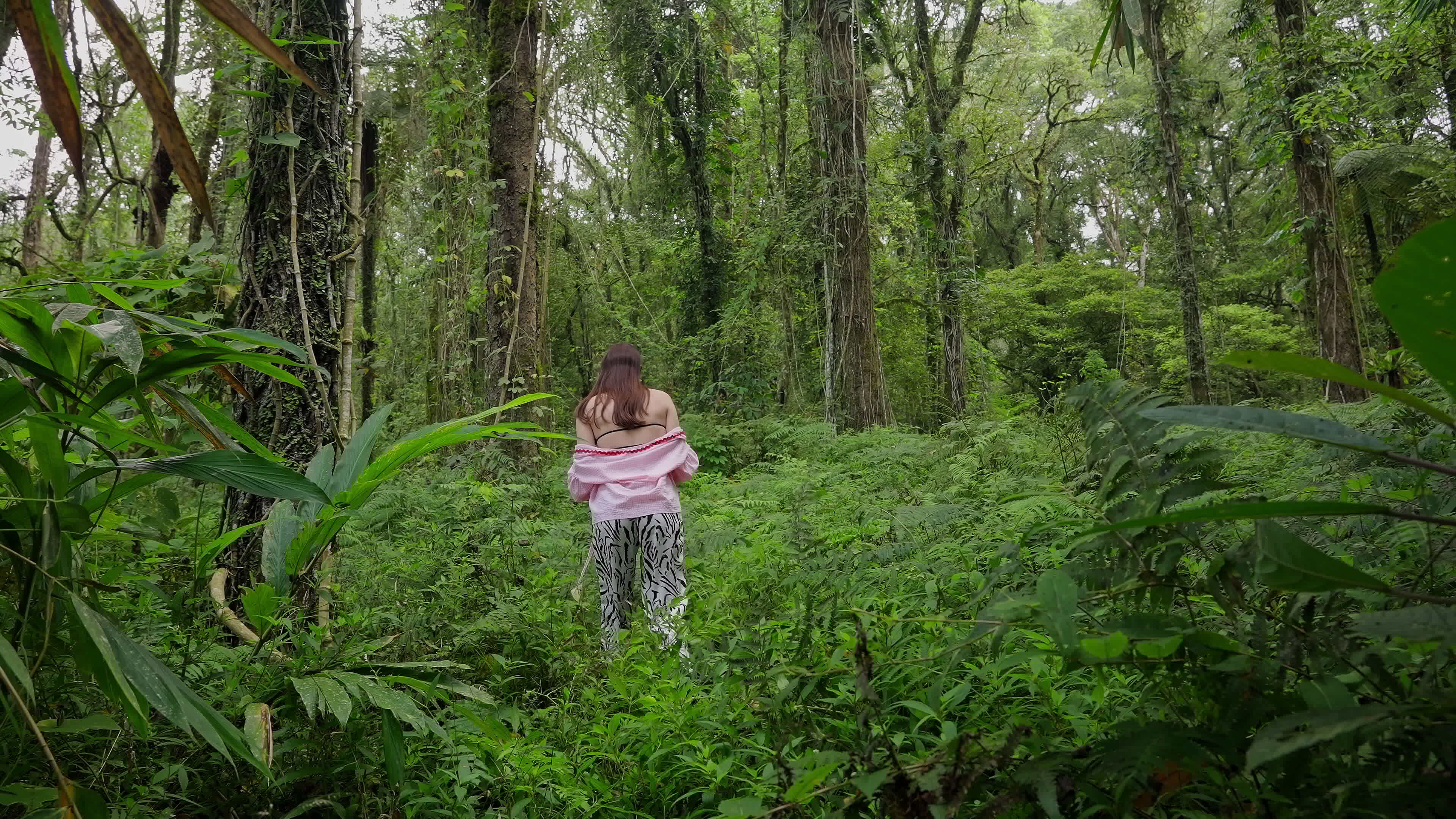 Girl Makes Her Way Through The Jungle Of A Tropical Forest 48220567 Stock Video At Vecteezy