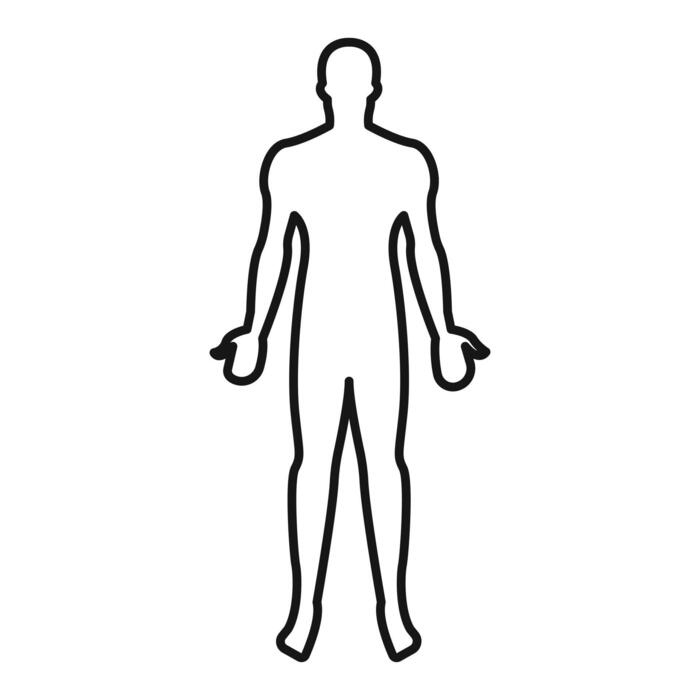 Human Body Outline Vector Art, Icons, and Graphics for Free Download
