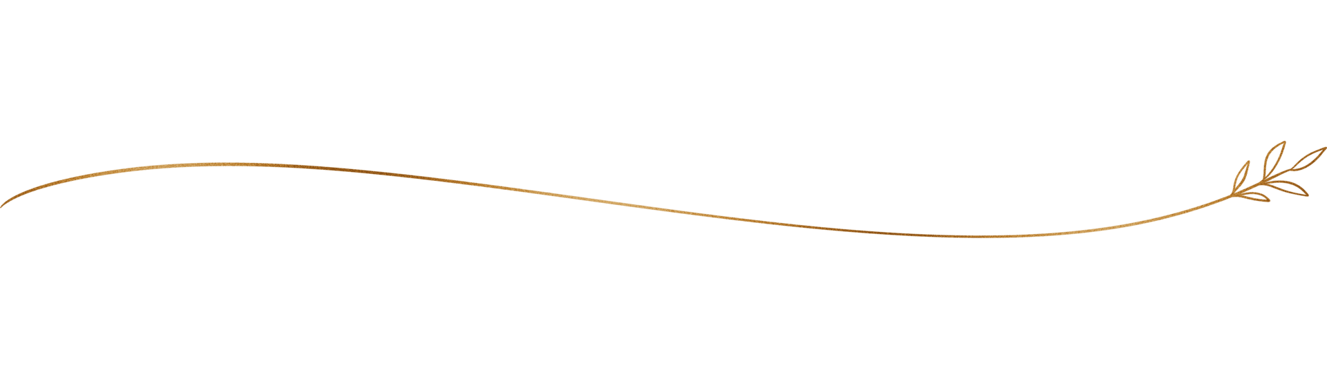 Transparent Line PNGs for Free Download