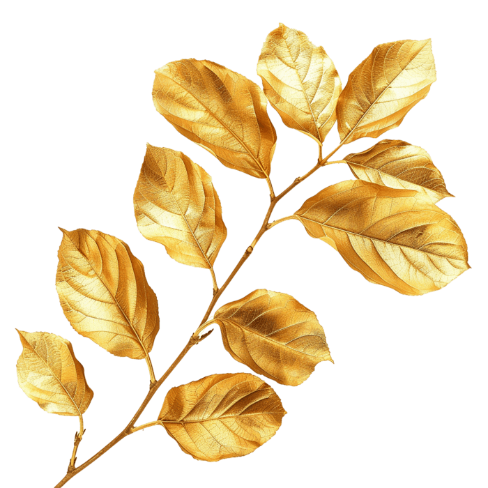 Gold Leaves Border PNGs for Free Download