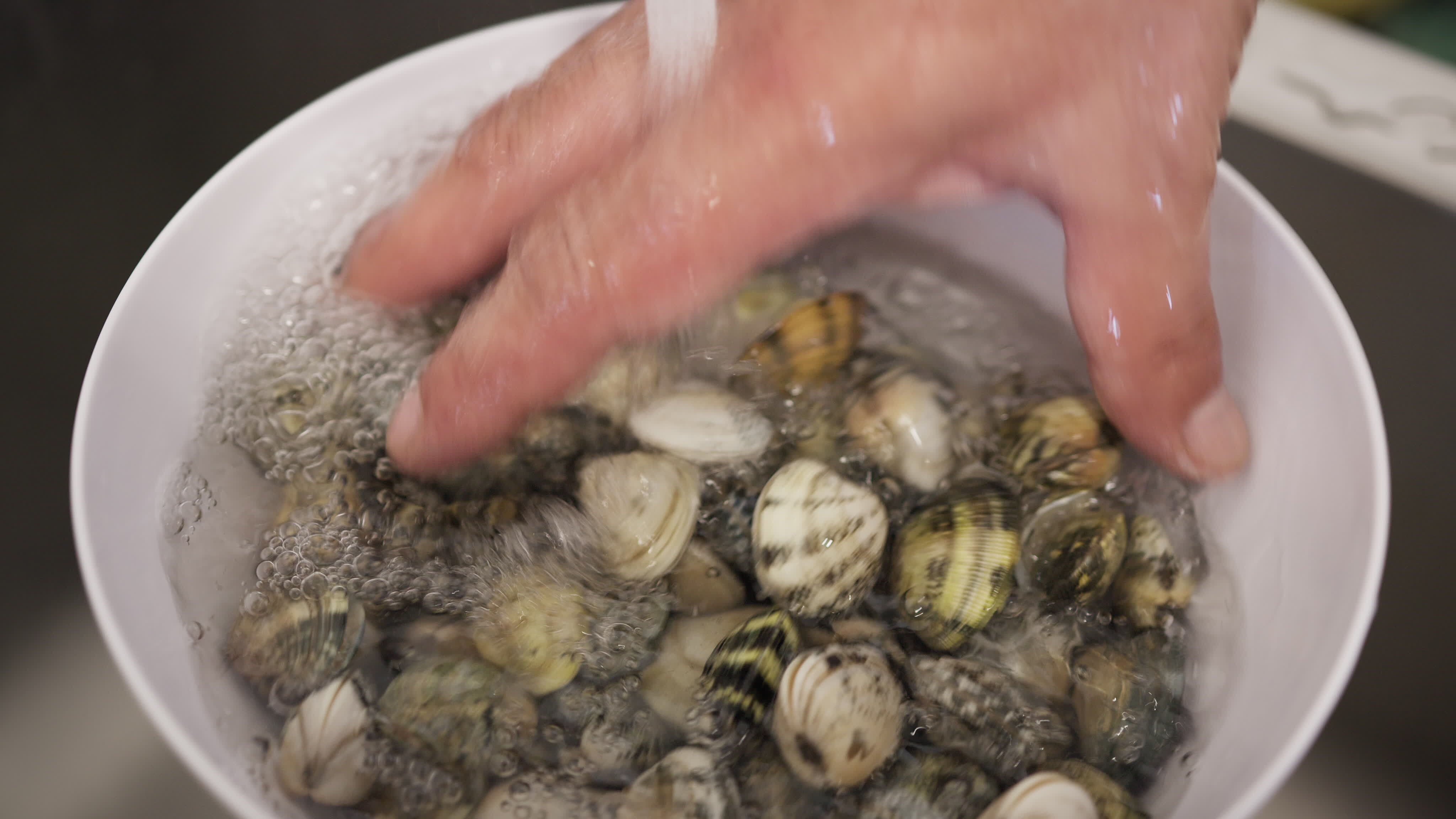 Cook's Hand Is Rinsing Clams Under Running Water 48772714 Stock Video at Vecteezy