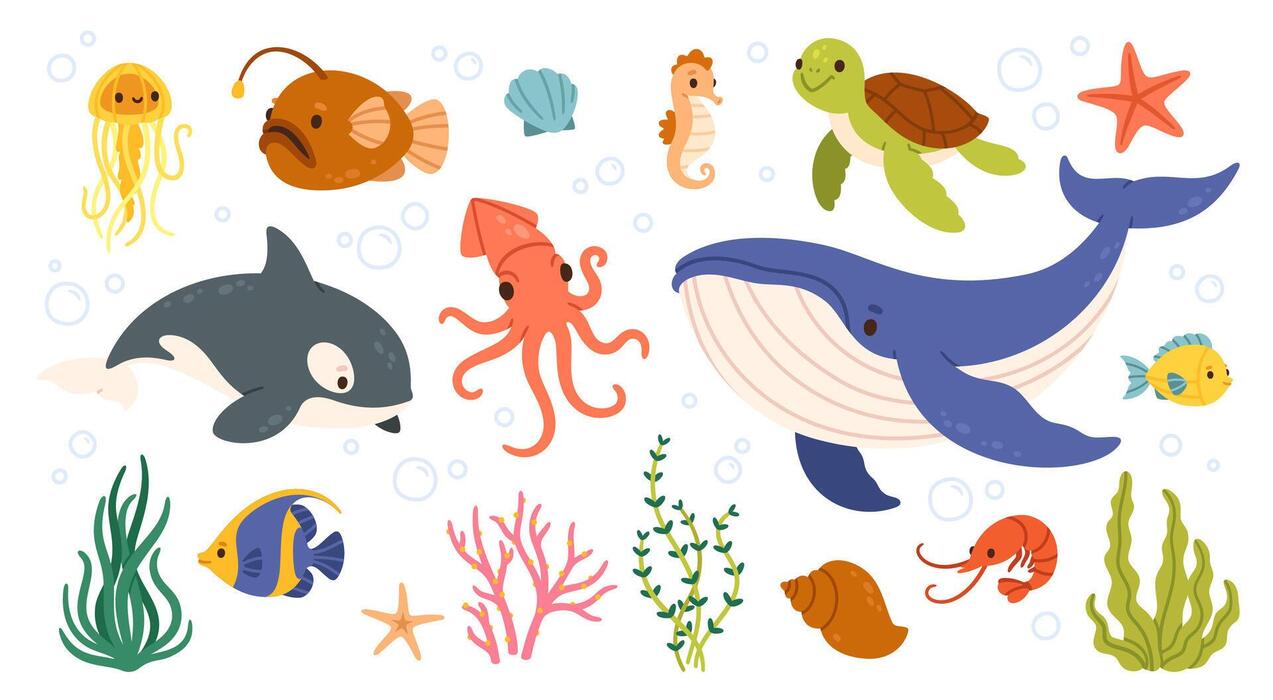 Ocean Animal Clipart